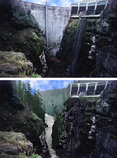 Dam Removal as a Teaching Tool | CLEARING: PNW Journal of Environmental ...