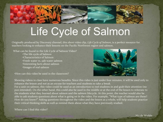 Resources for the Classroom — Washington History and Salmon | CLEARING ...