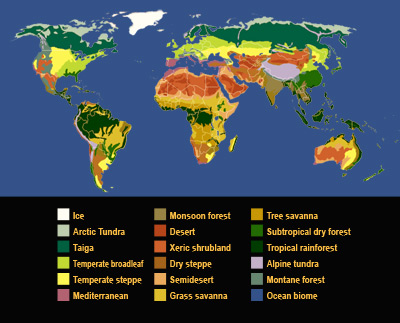 5 More EE Resources You Need to Know About | CLEARING: PNW Journal of ...