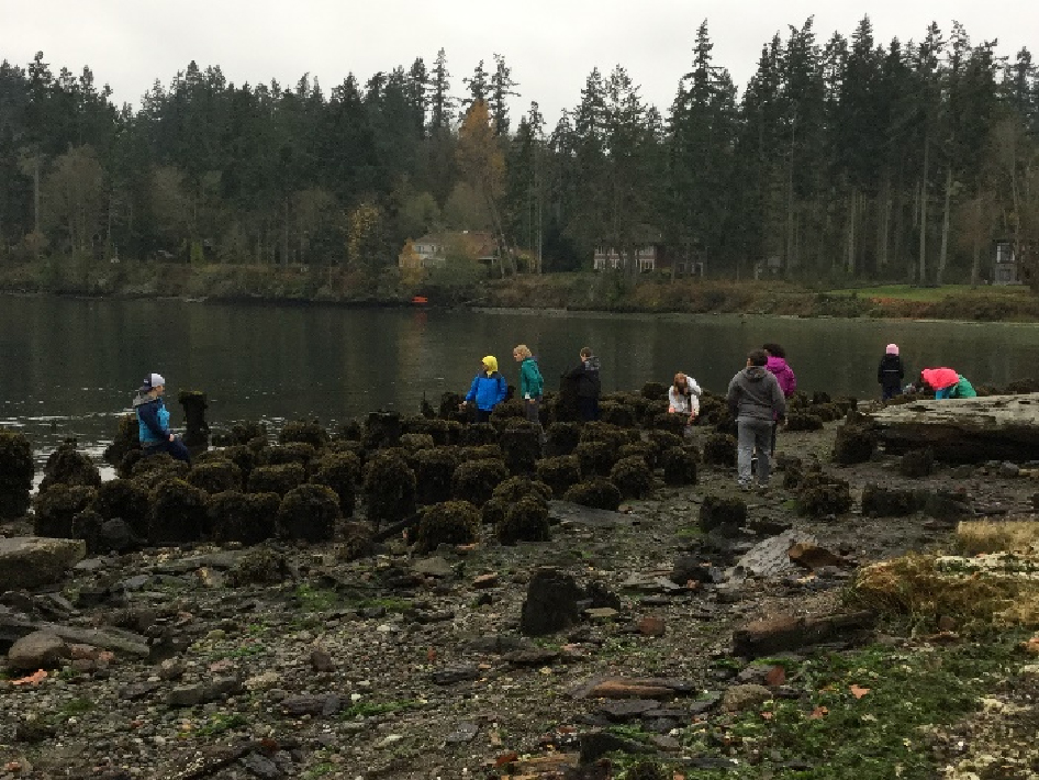 Lessons from IslandWood | CLEARING: PNW Journal of Environmental ...